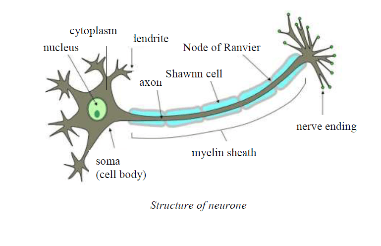 Coordination - Darasa Huru - September 2025
